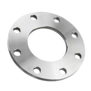Plate Blank Flange – met-forge.com